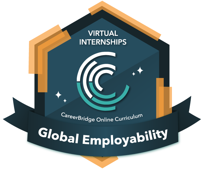 Virtual Internships Launches Our Exclusive Digital Program Badges